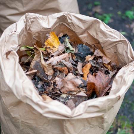 Compostable Food Waste Paper Bags - ecoLiving.co.uk