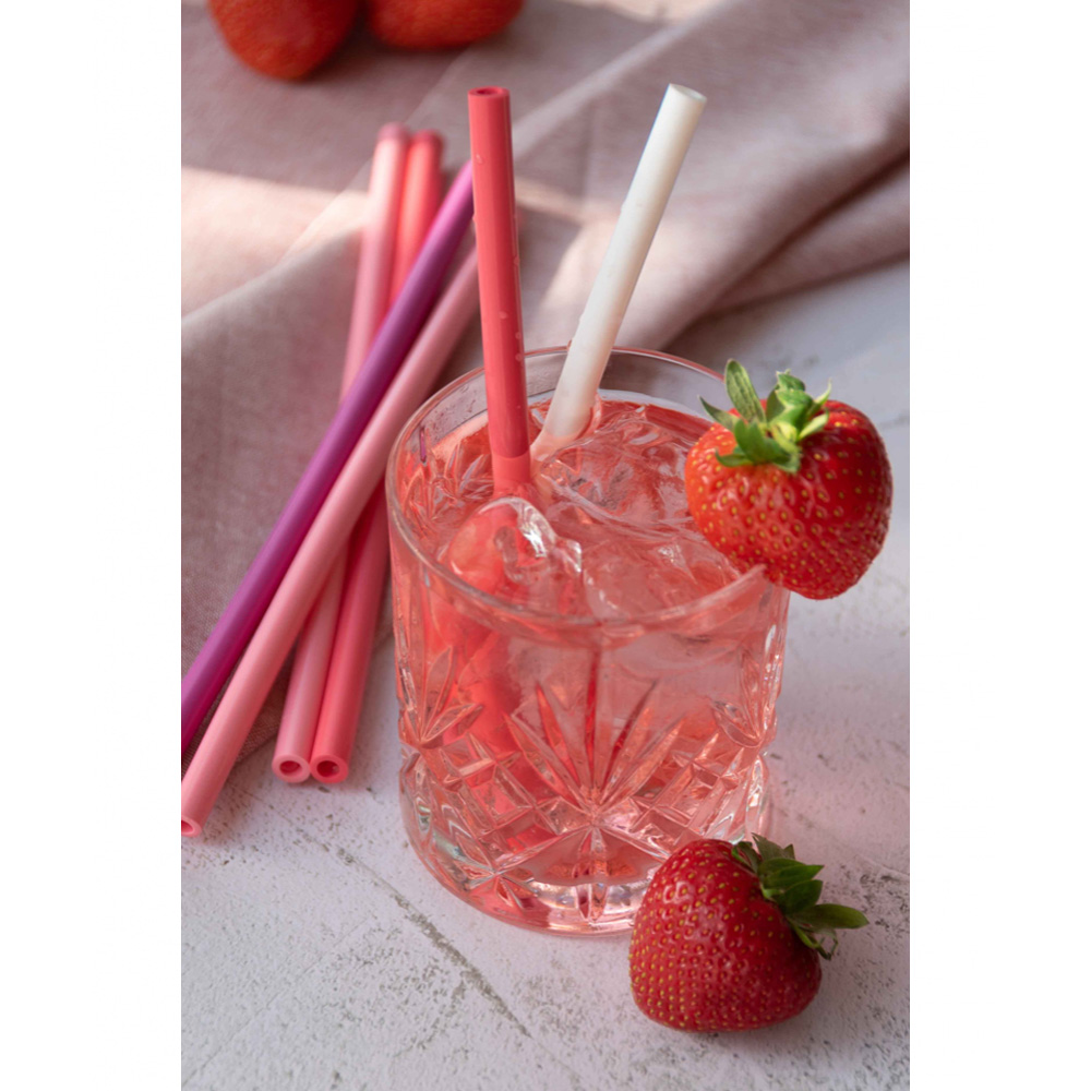 Reusable Silicone Straw in Travel Tin - ecoLiving.co.uk